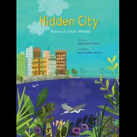 Hidden City - Book Scrounger