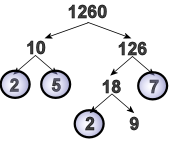 Make a Factor Tree - Ask Professor Puzzler