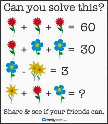 Flower Problem - Can You Solve This? - Ask Professor Puzzler
