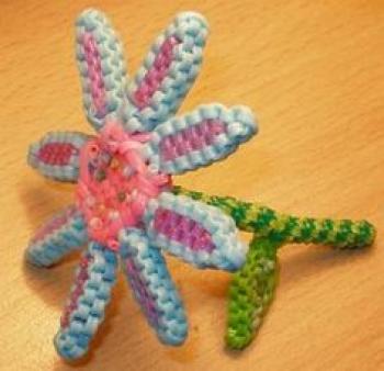 Boondoggle - World of Words - by Portland Proof