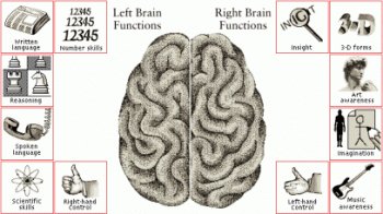 Understanding the Brain and Learning Disabilities: Lesson Plans